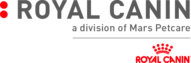 AUTOUR DE KDOG – KDOG